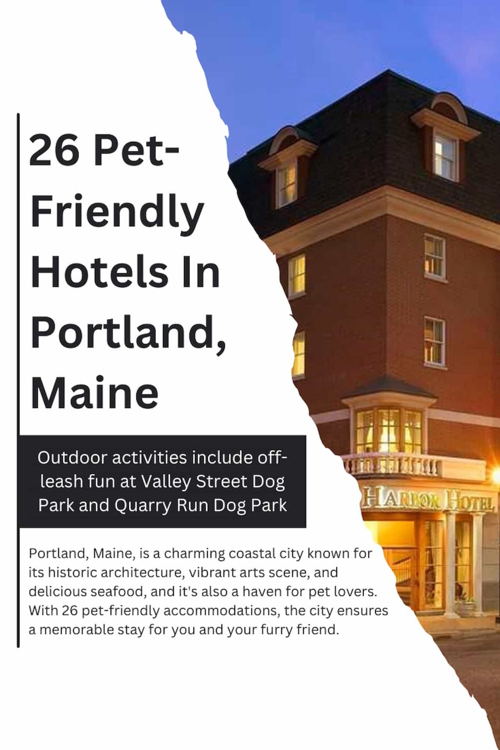 26 Pet-Friendly Hotels In Portland, Maine - Travel Halfway